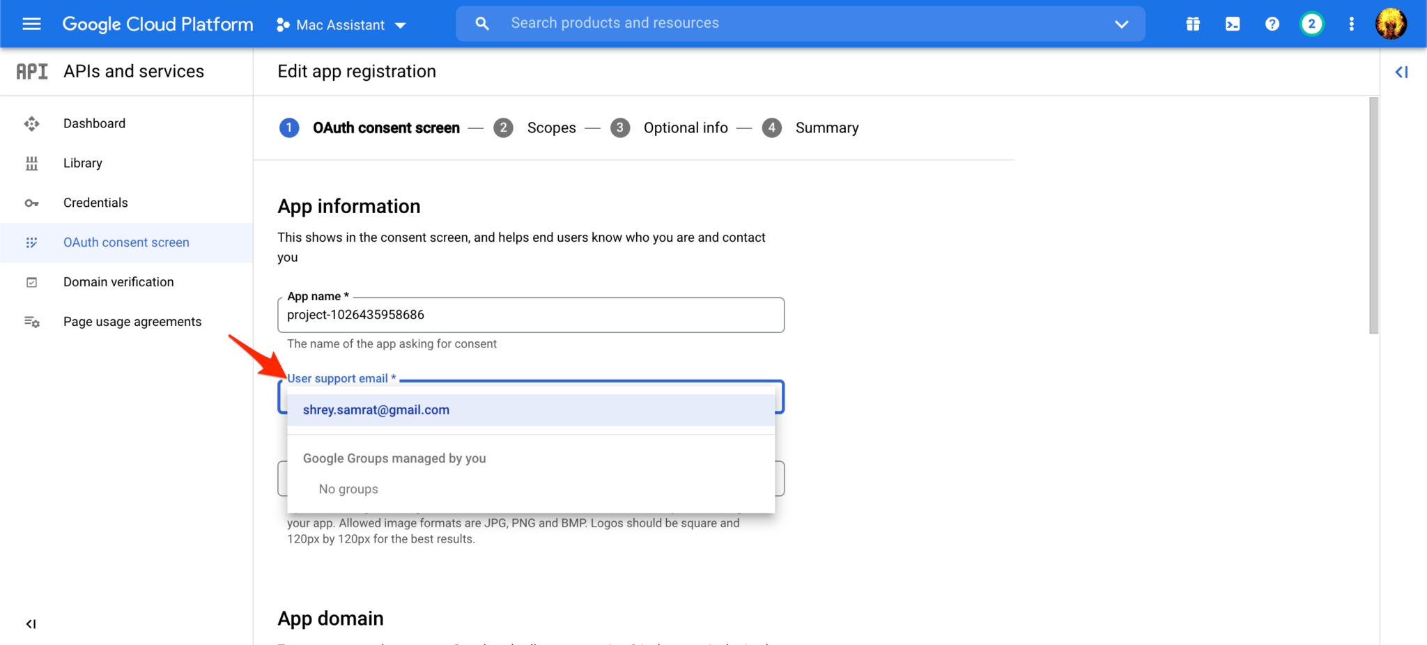 How to Set up Google Assistant on Windows 11?